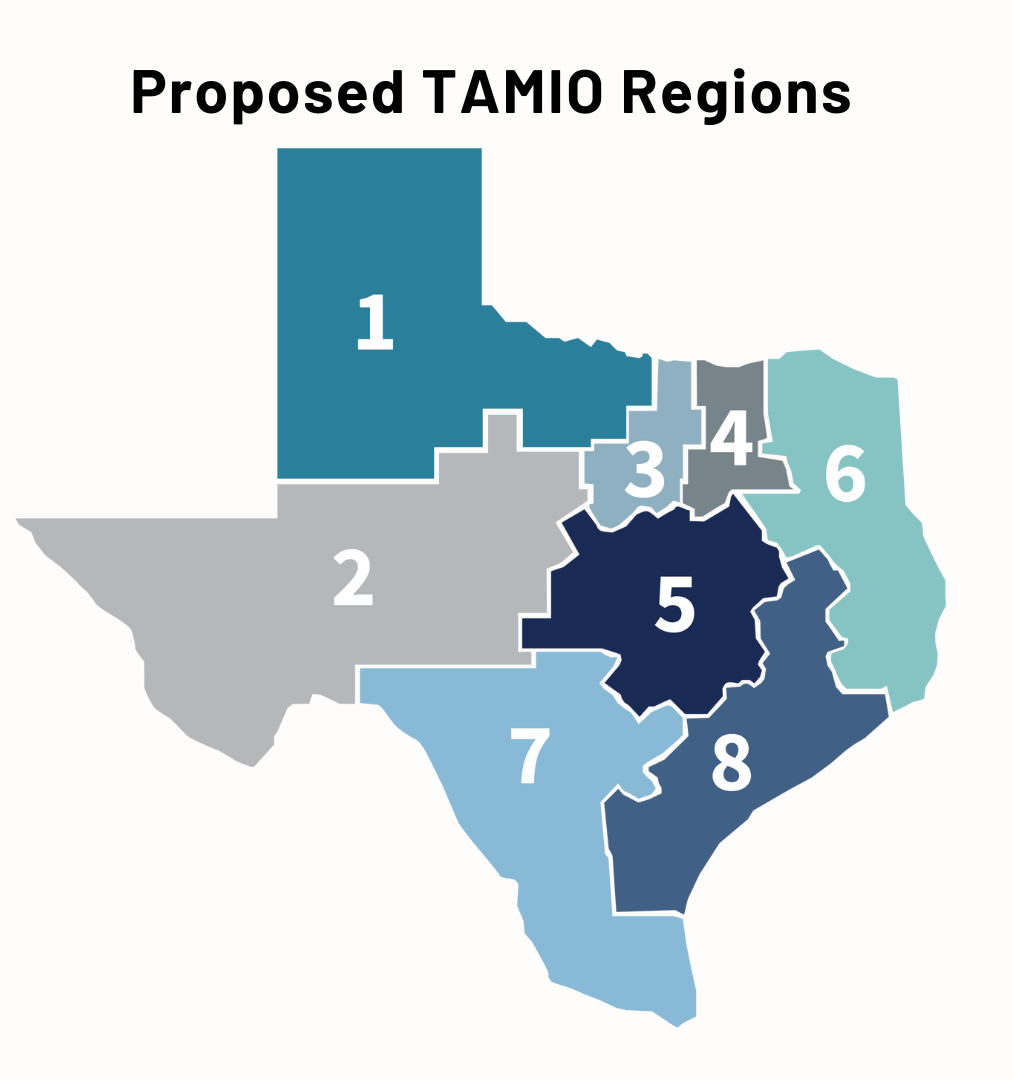 TAMIO is growing. What about our board and regions?